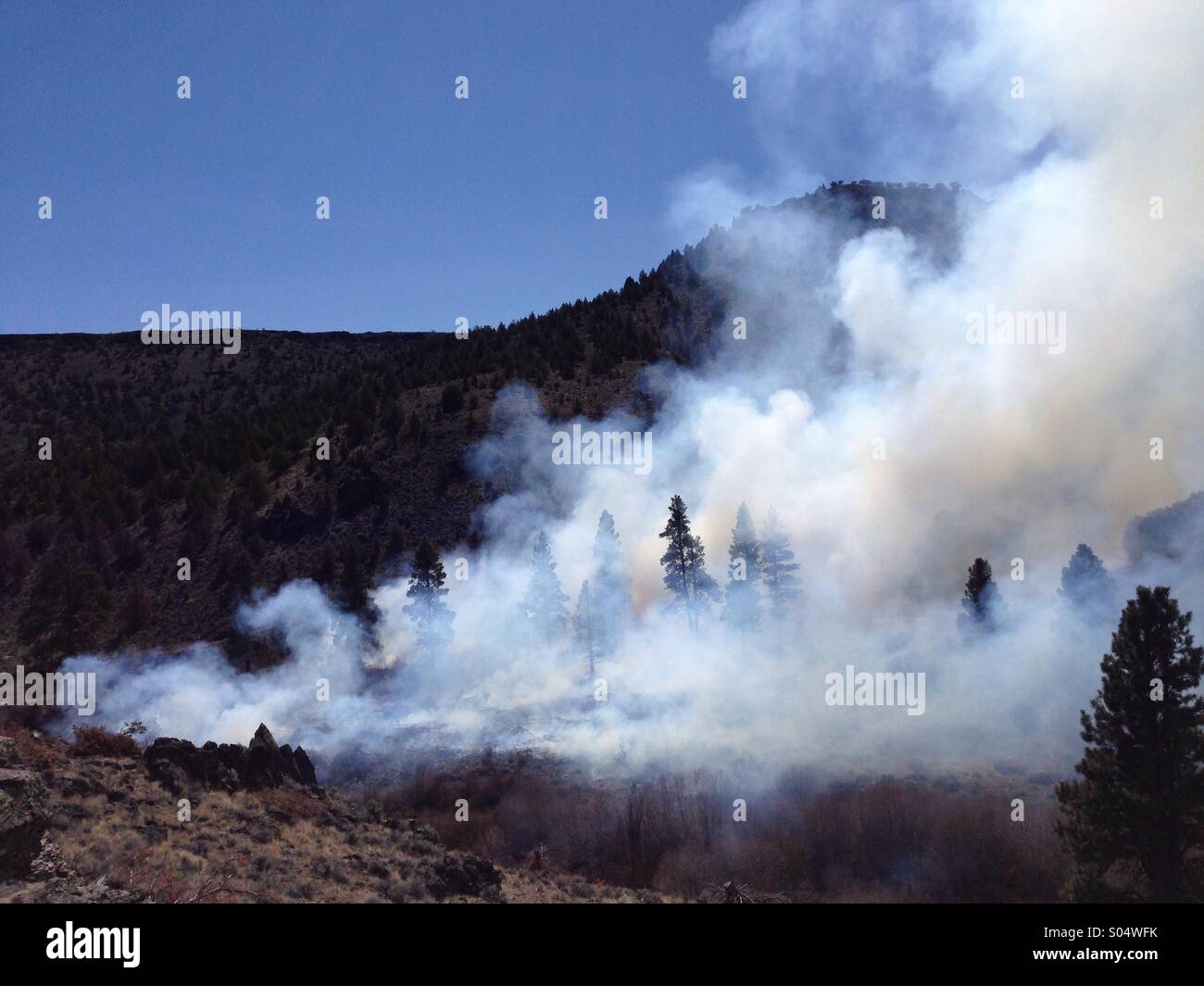 Wildfire in the desert hi-res stock photography and images - Alamy