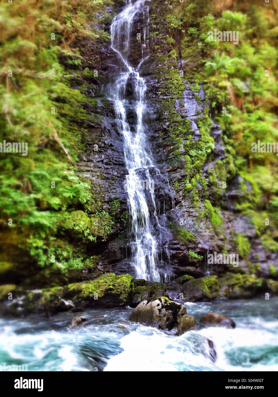 Boulder river trail hi-res stock photography and images - Alamy