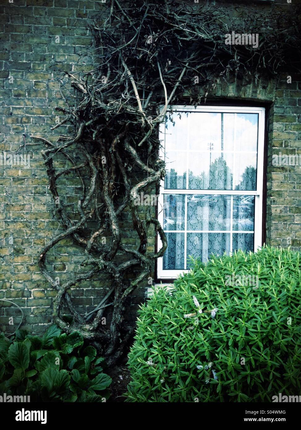 Gothic cottage hi-res stock photography and images - Alamy