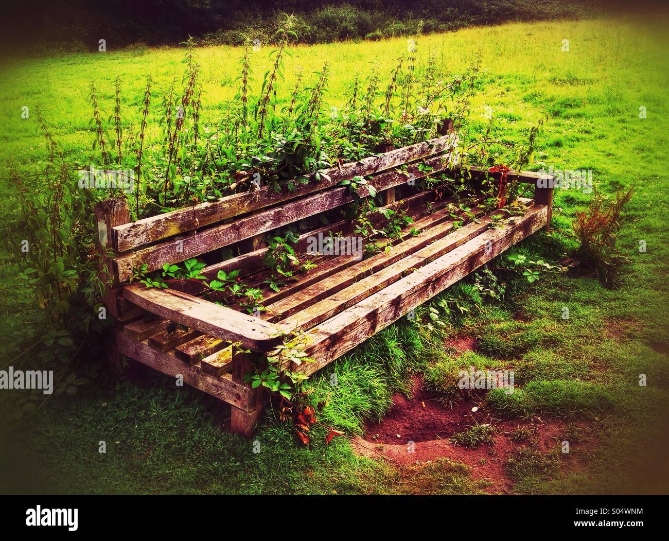 Field bench hi-res stock photography and images - Alamy