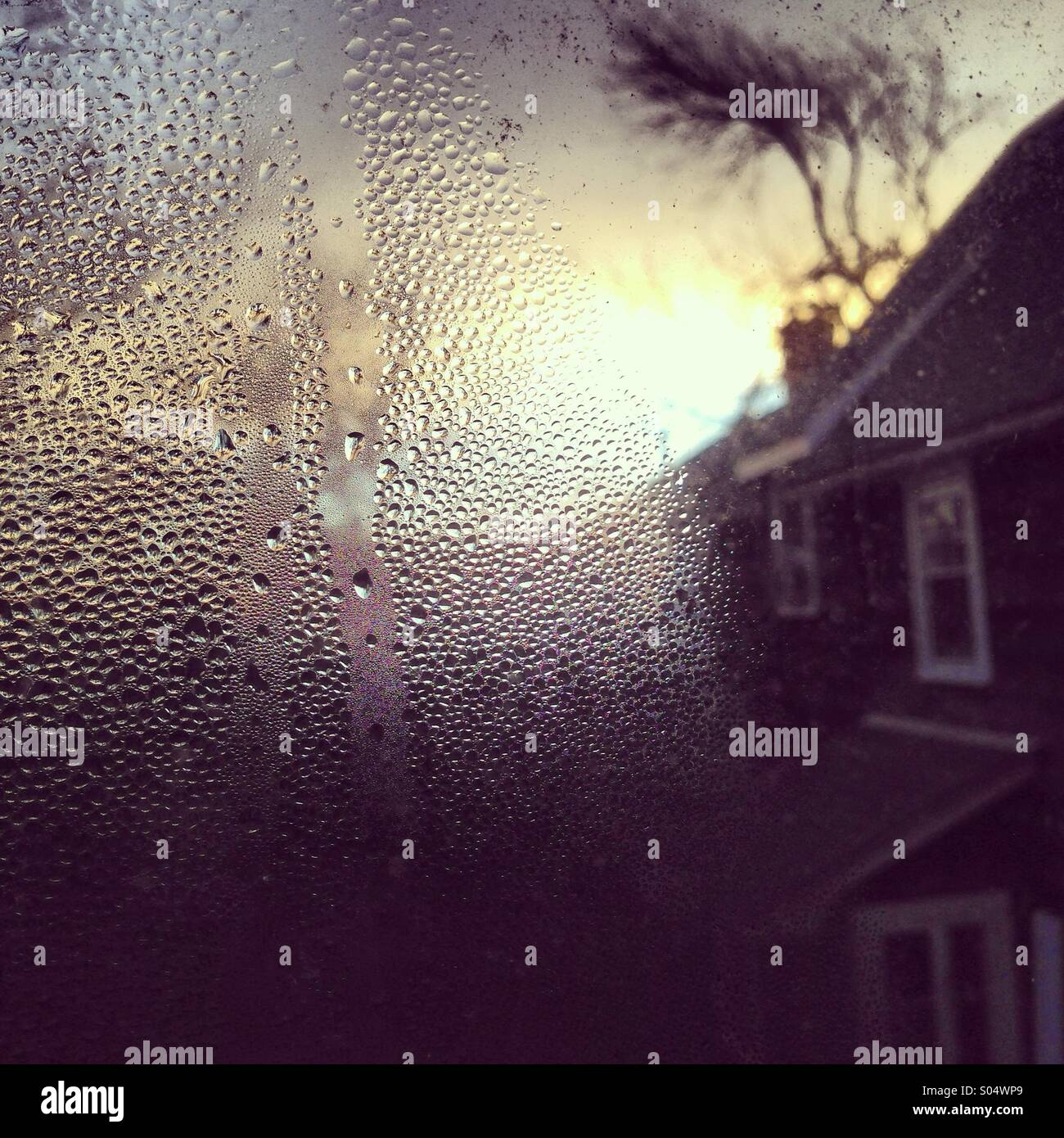 Early morning misty window Stock Photo - Alamy