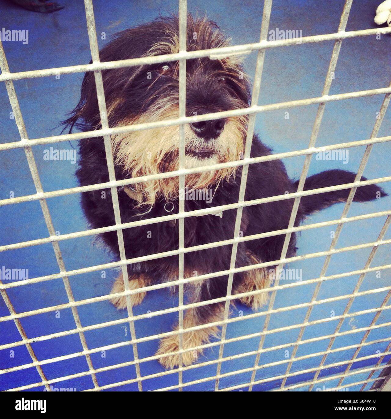 Cafe behind bars hi-res stock photography and images - Alamy