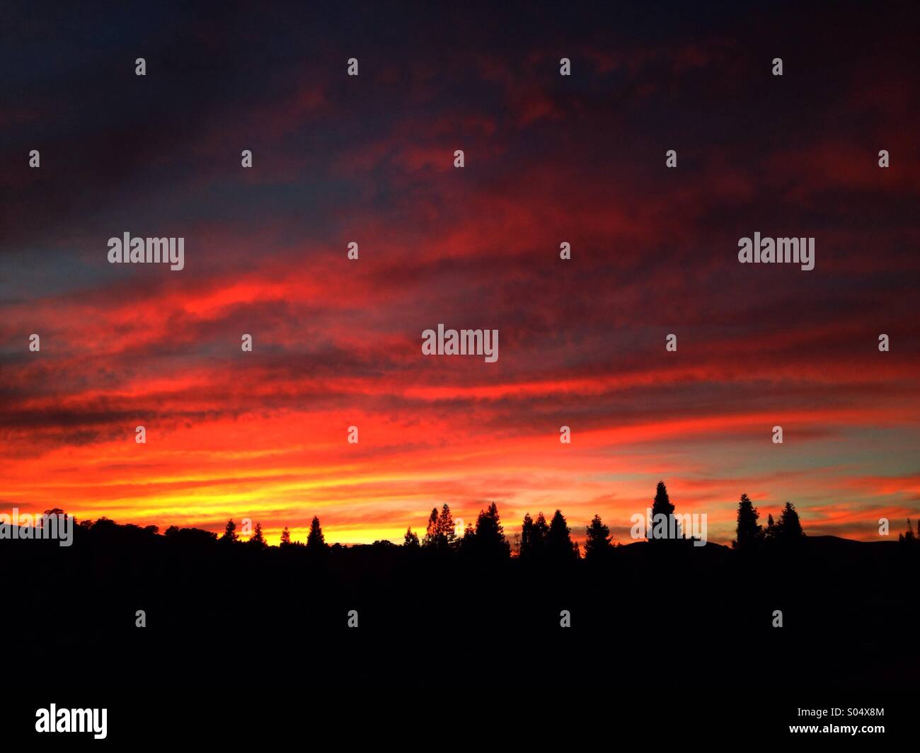 Vivid summer California sunset Stock Photo - Alamy