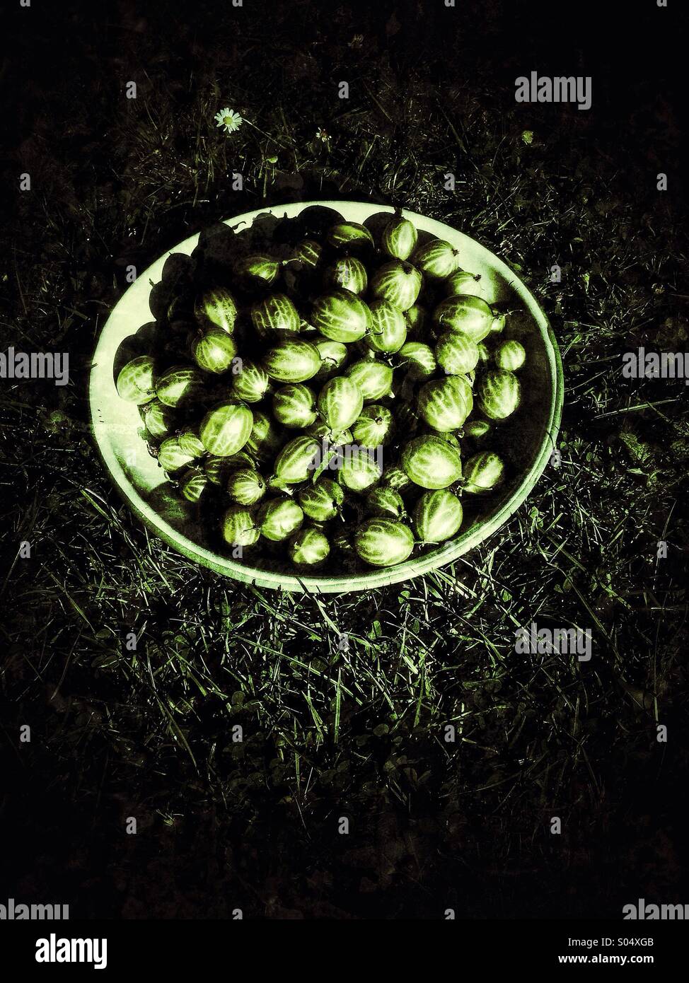 Heavy contrast hi-res stock photography and images - Alamy