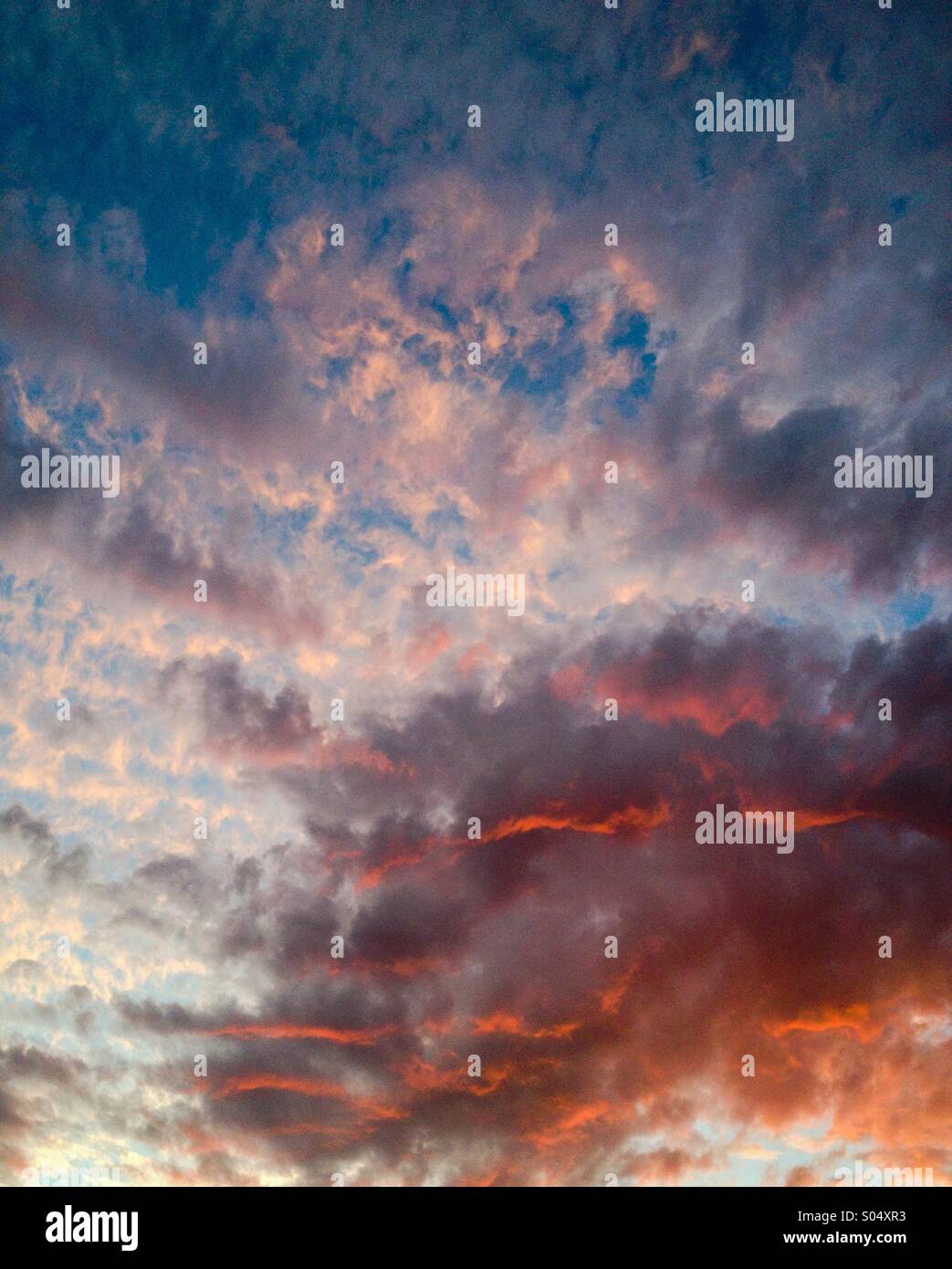 Monsoon clouds move over the Sonoran Desert, Tucson, Arizona, USA Stock ...