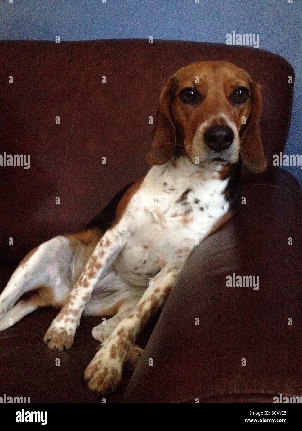 Position pic hi-res stock photography and images - Alamy