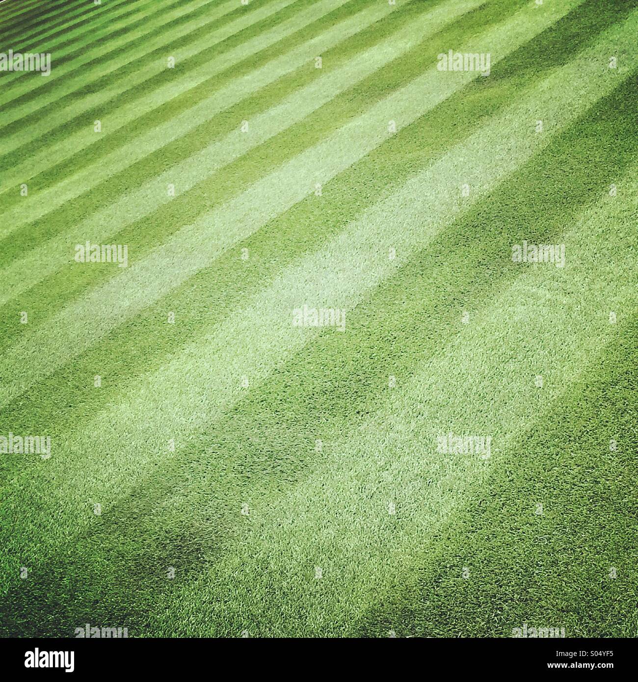 A perfect grass lawn Stock Photo - Alamy