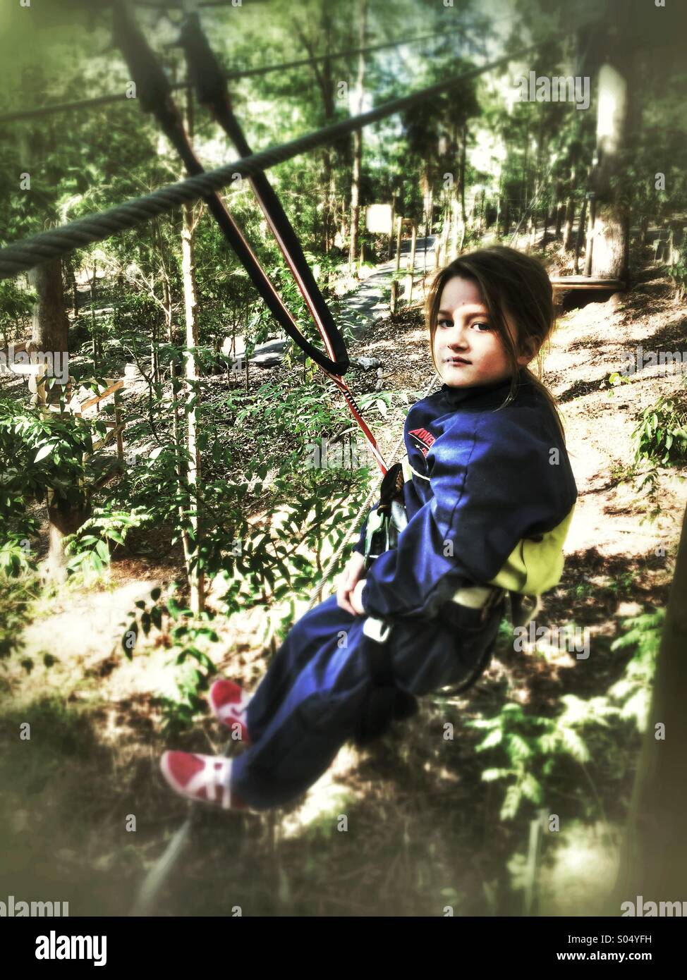 Climbing Tree High Resolution Stock Photography and Images - Alamy