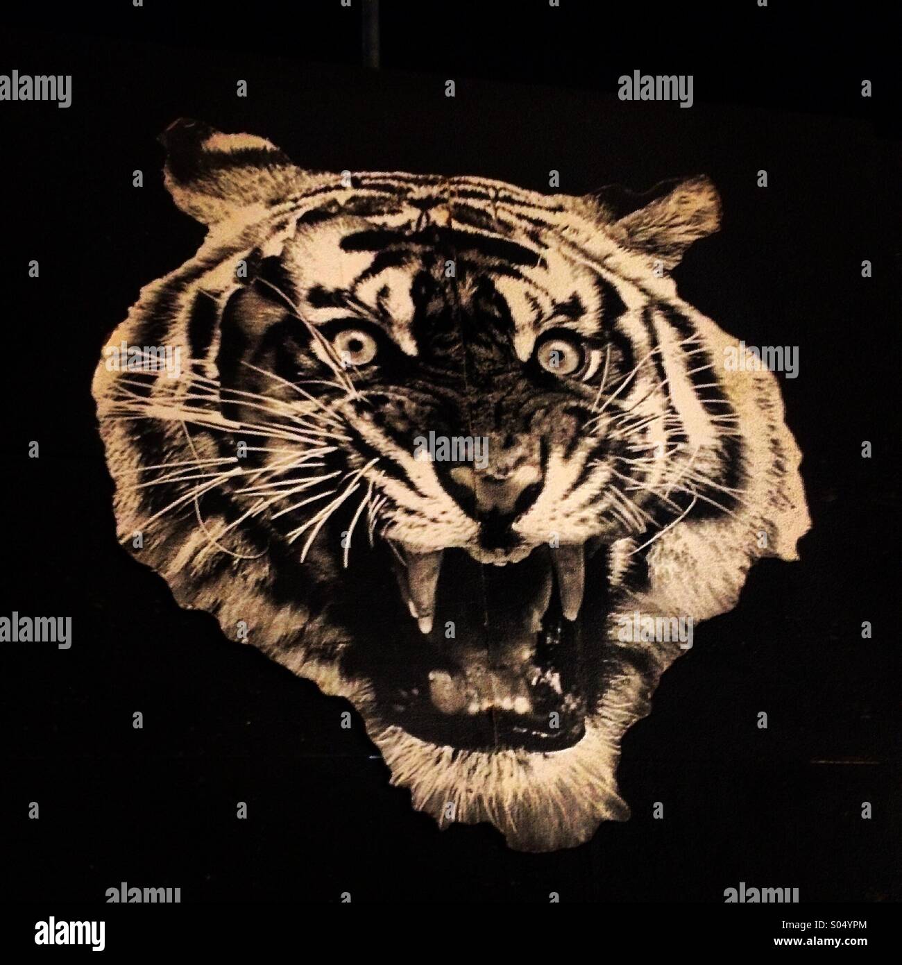 Tiger emblem hi-res stock photography and images - Alamy
