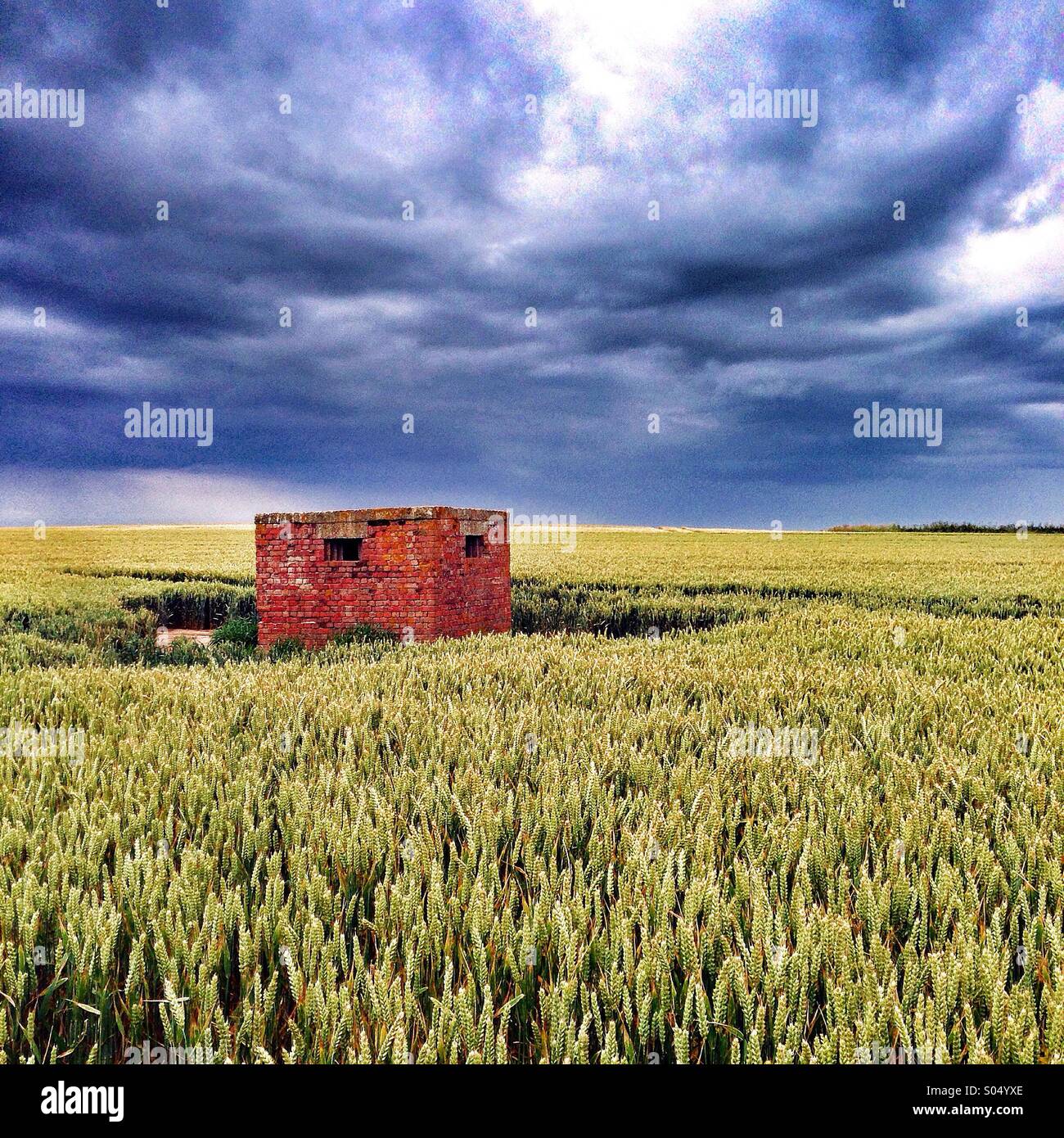 Ww2 pillbox in a field Stock Photo - Alamy