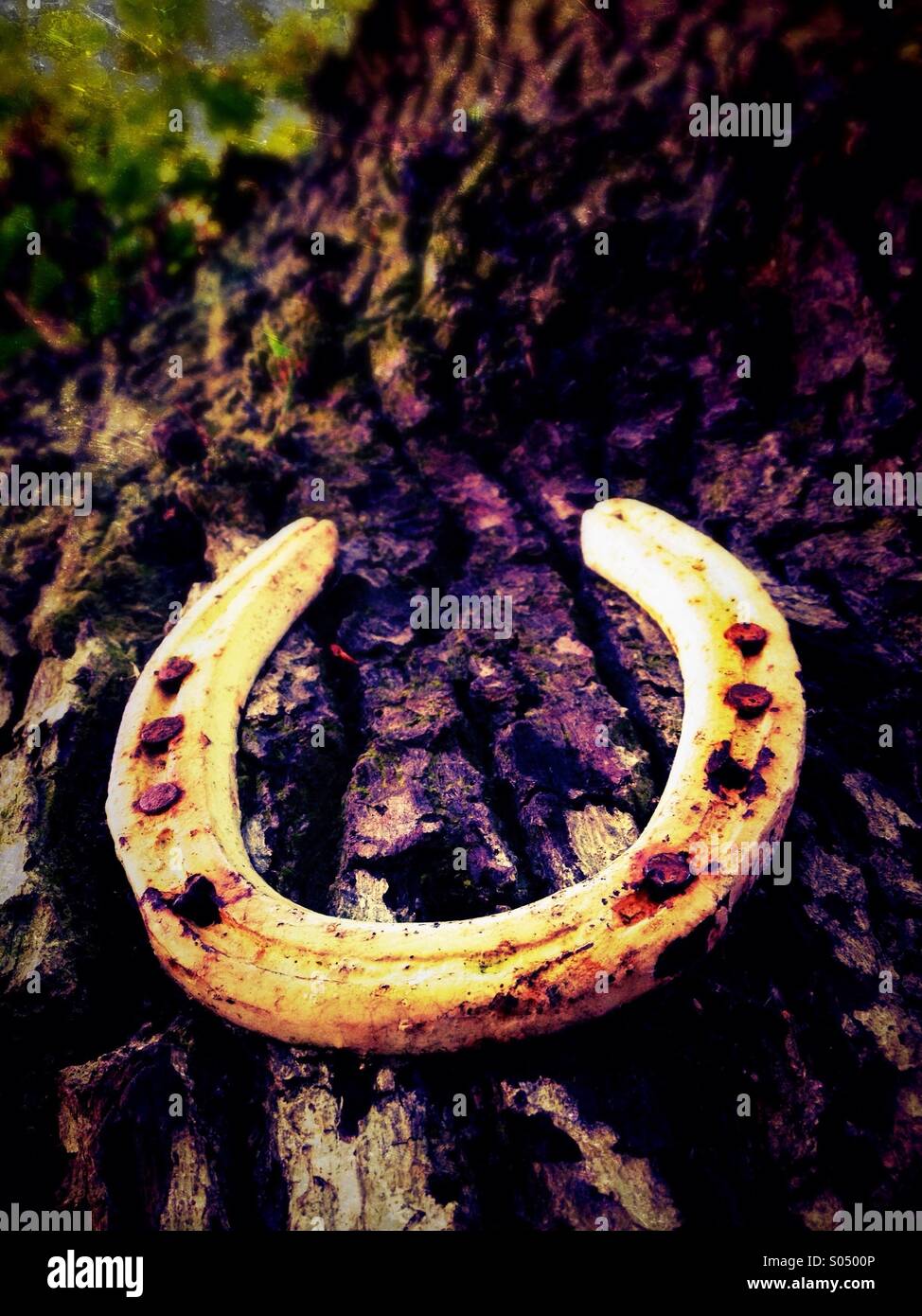 Lucky Tree High Resolution Stock Photography and Images - Alamy