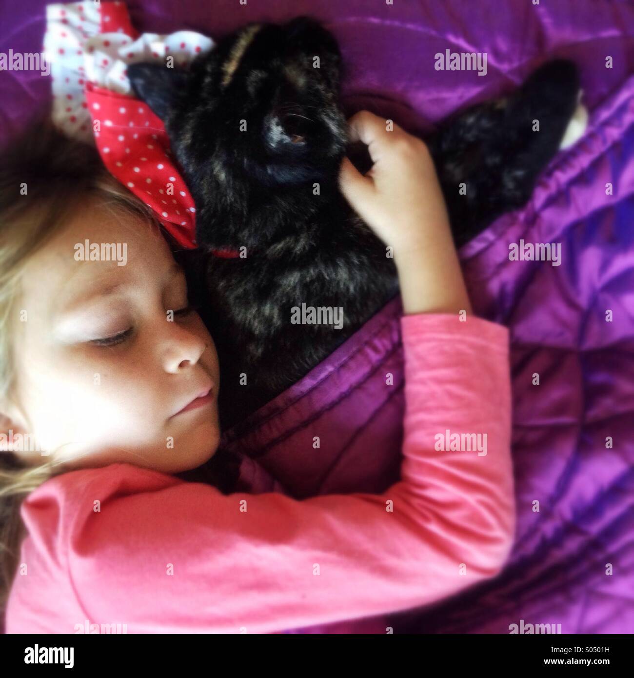 Child sleeping with her cat Stock Photo - Alamy