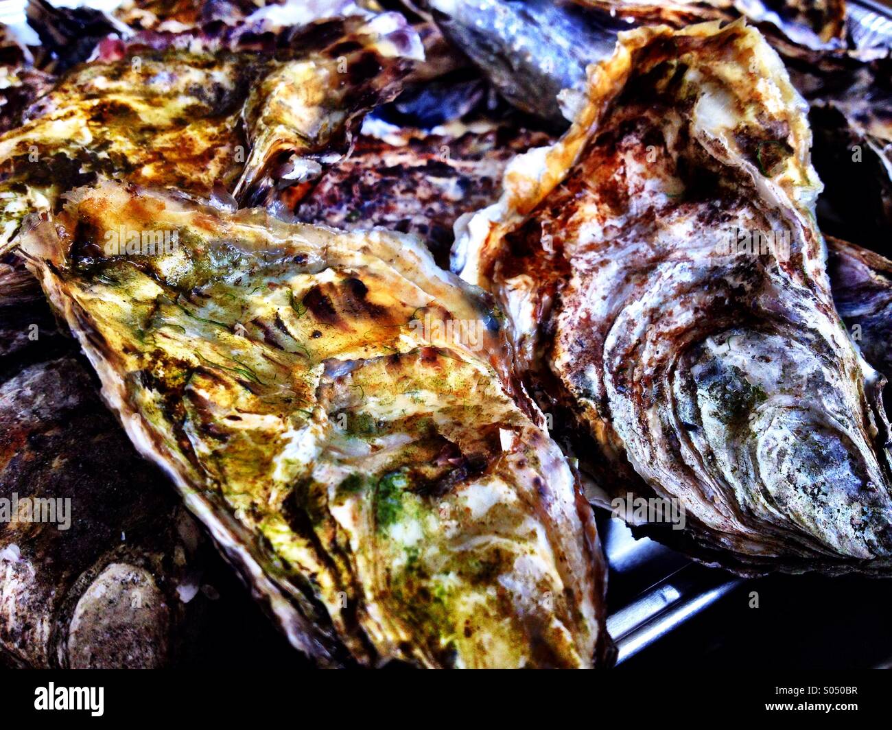 Oysters texture hi-res stock photography and images - Alamy
