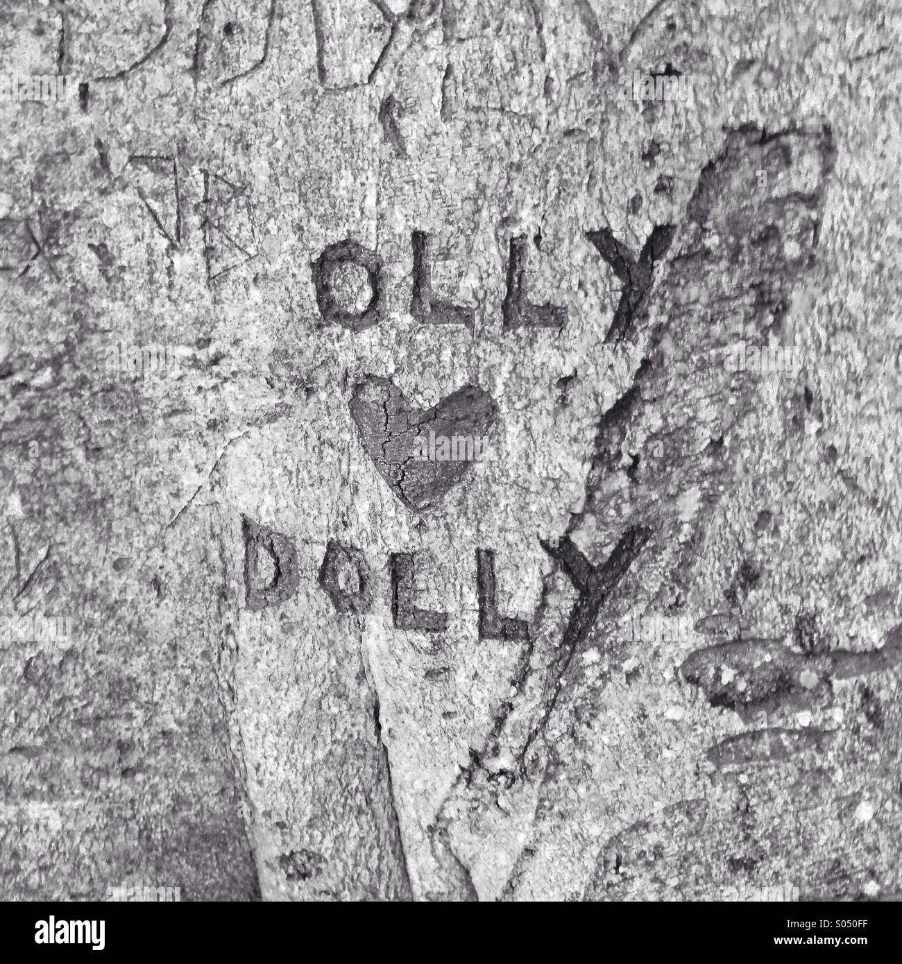 Dolly tree hi-res stock photography and images - Alamy