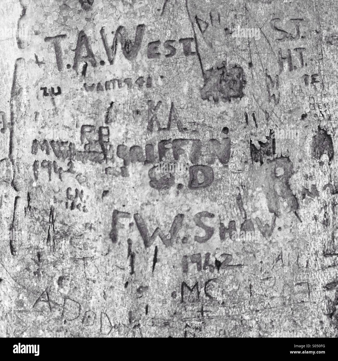 Graffiti scratched into tree bark from 1940's Stock Photo - Alamy