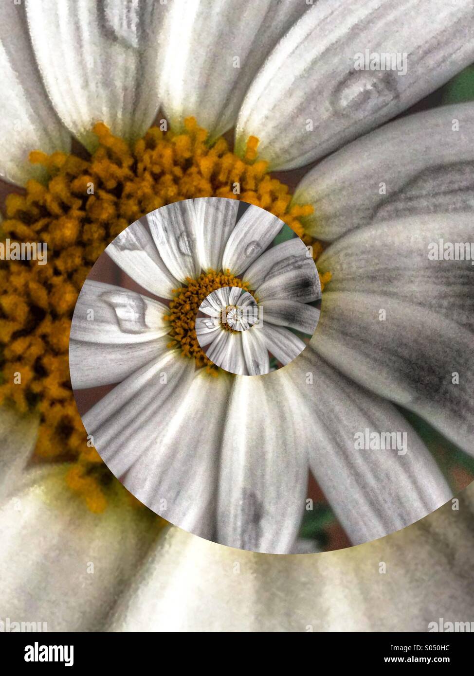 Droste effect hi-res stock photography and images - Alamy