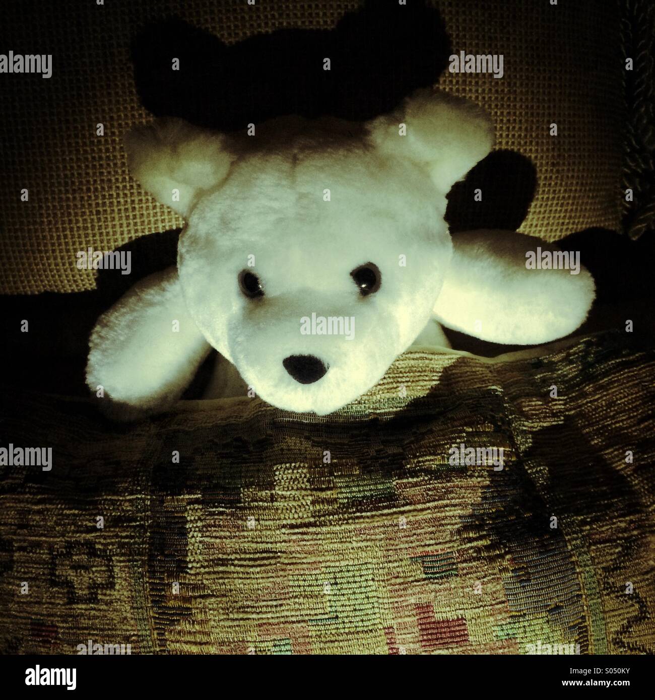 Flashlight shining hi-res stock photography and images - Alamy