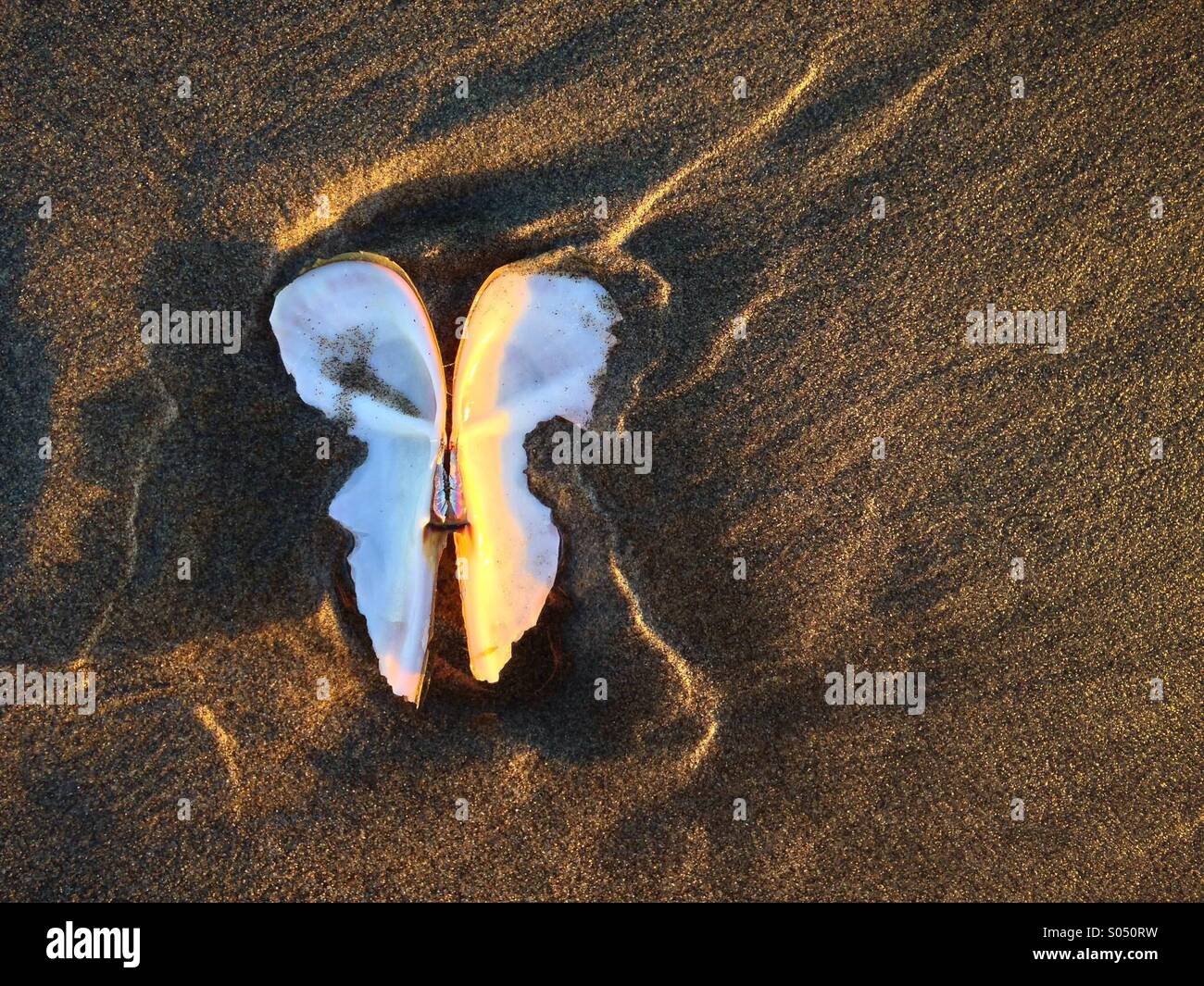 Light of angel hi-res stock photography and images - Alamy