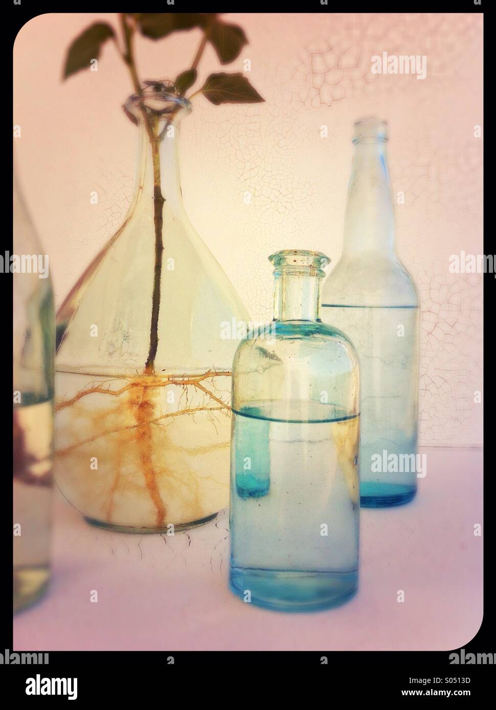 Five elements hi-res stock photography and images - Alamy