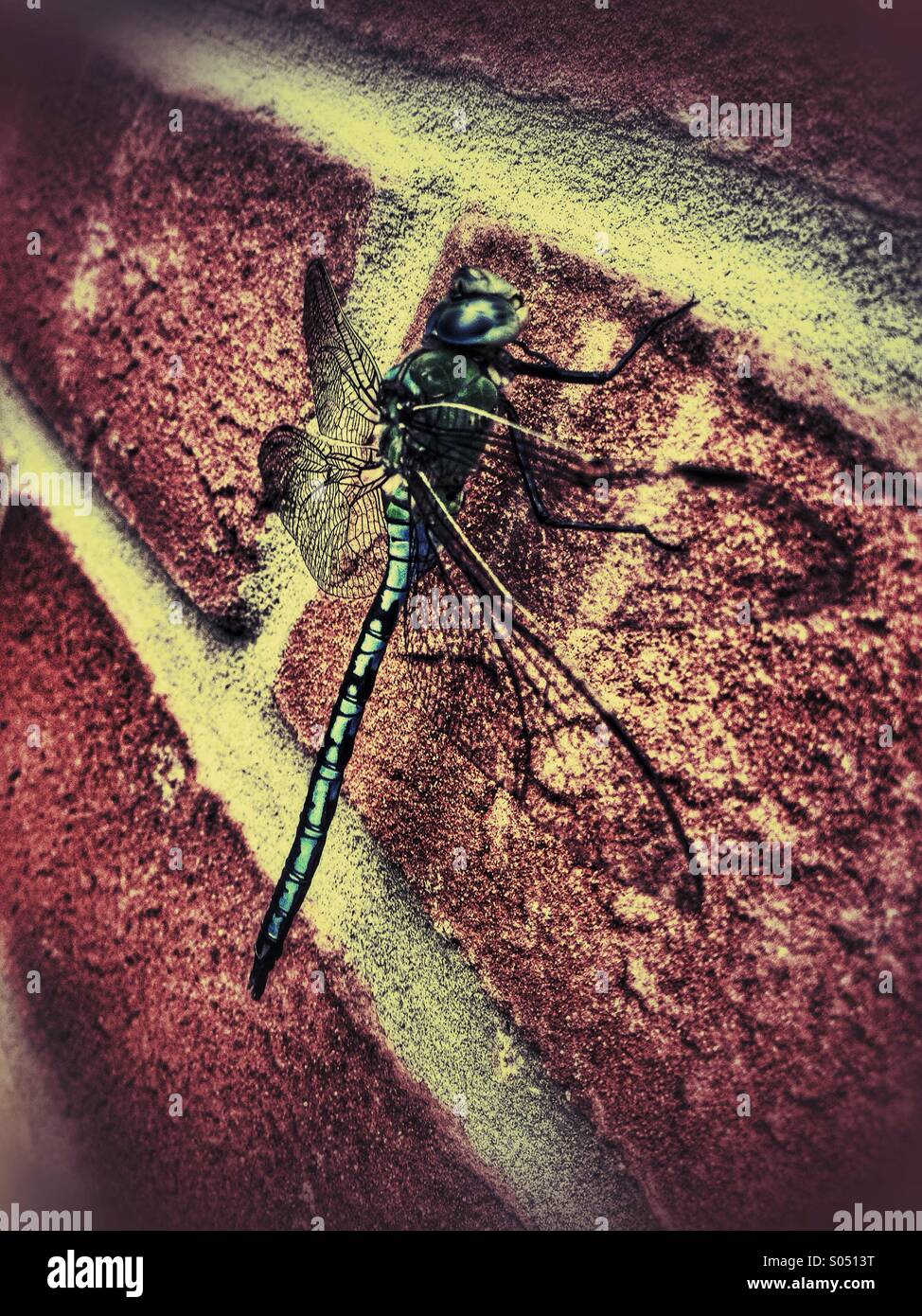 Fly brick hi-res stock photography and images - Alamy