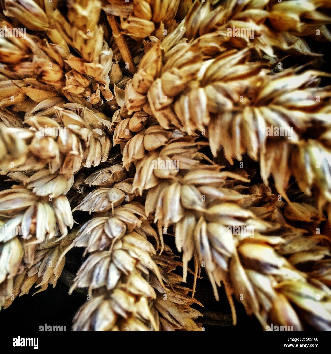 Bundle Stock Photos & Bundle Stock Images - Alamy
