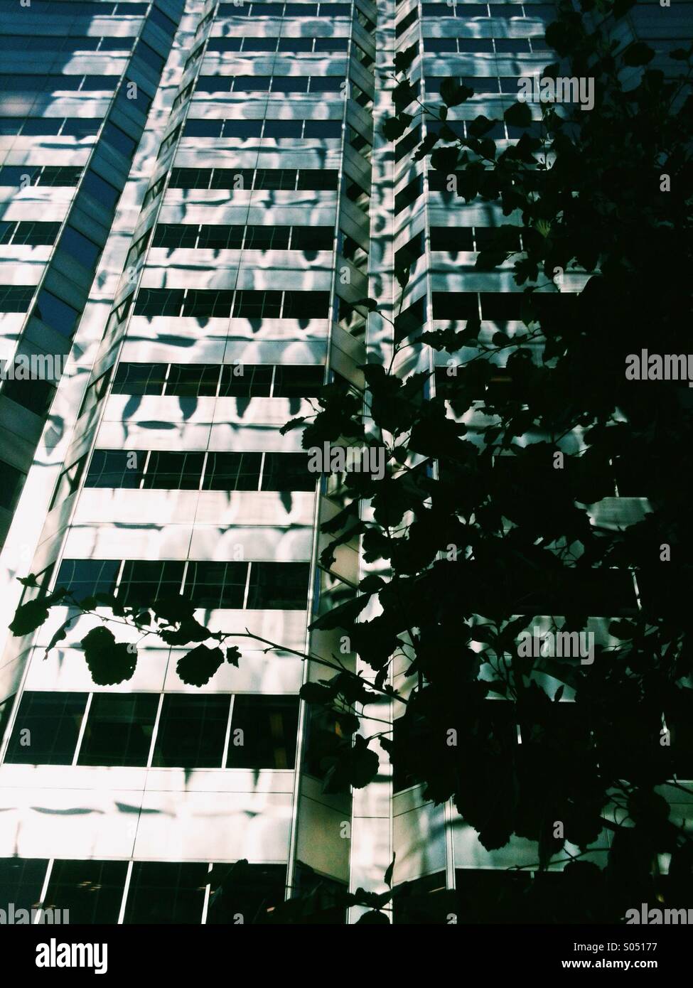 Reflecting sun on windows hi-res stock photography and images - Alamy