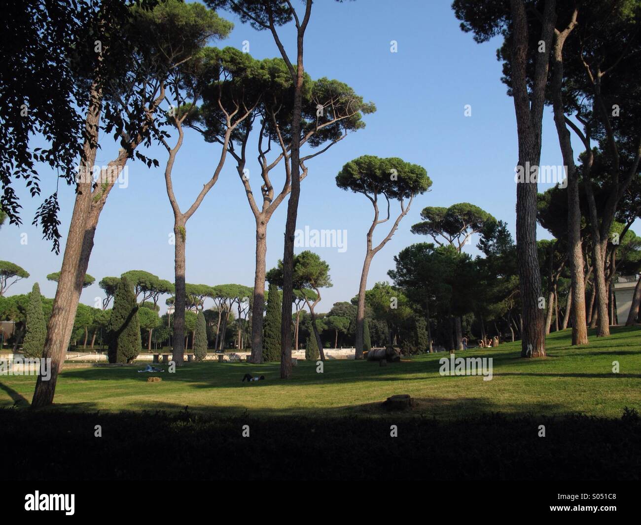 Trees rome hi-res stock photography and images - Alamy