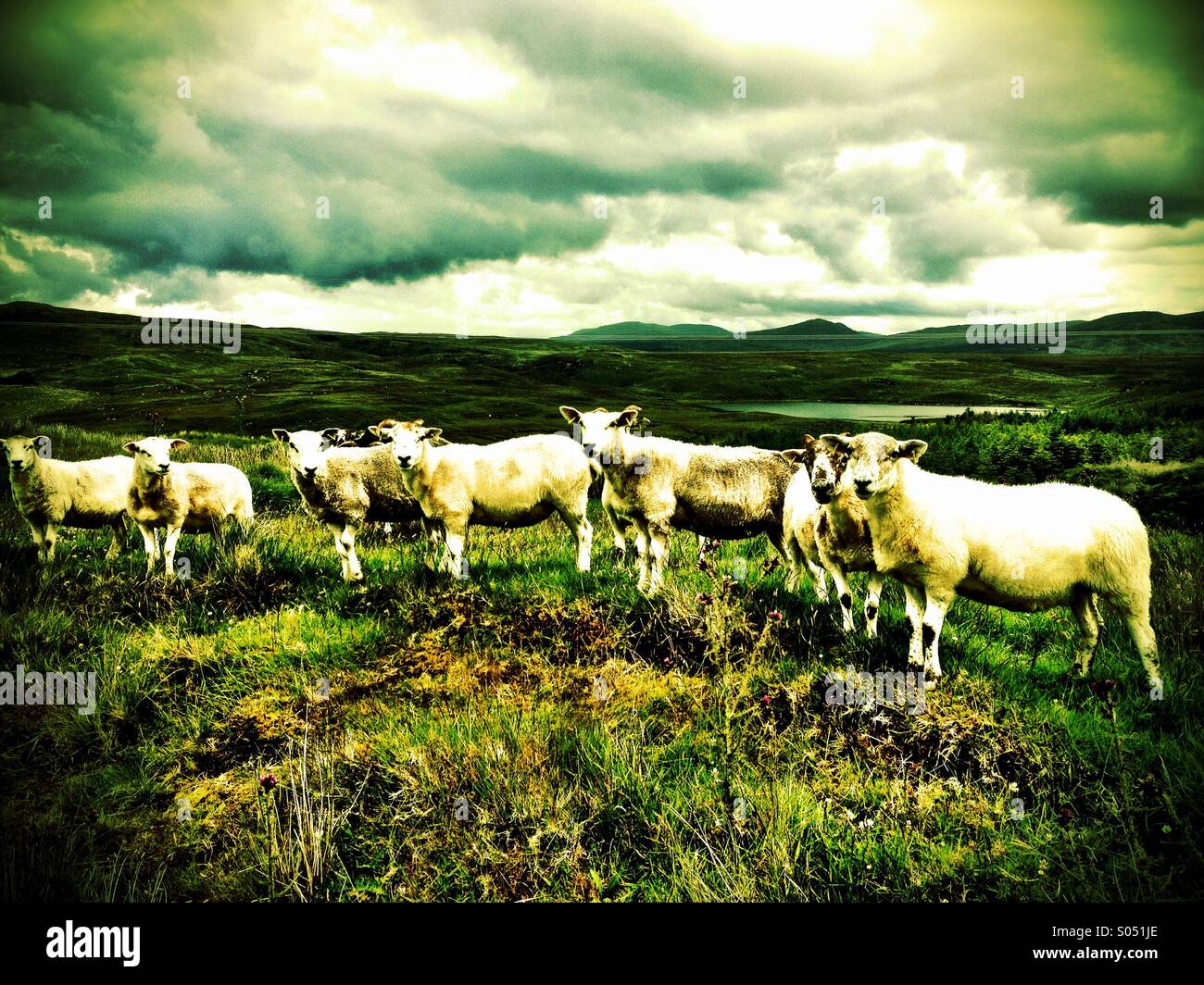 Farming landscape donegal hi-res stock photography and images - Alamy