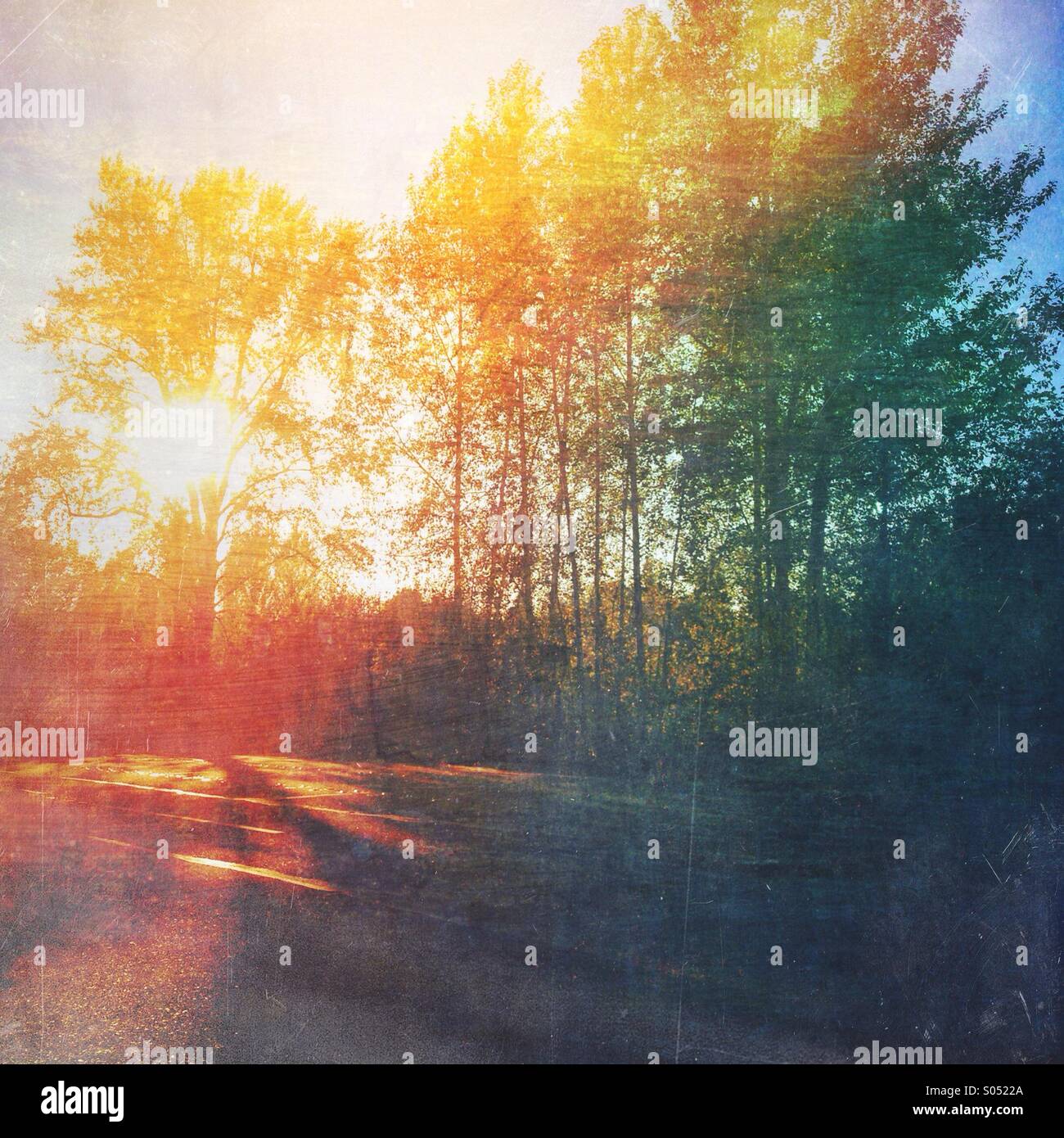 Sun bath hi-res stock photography and images - Alamy