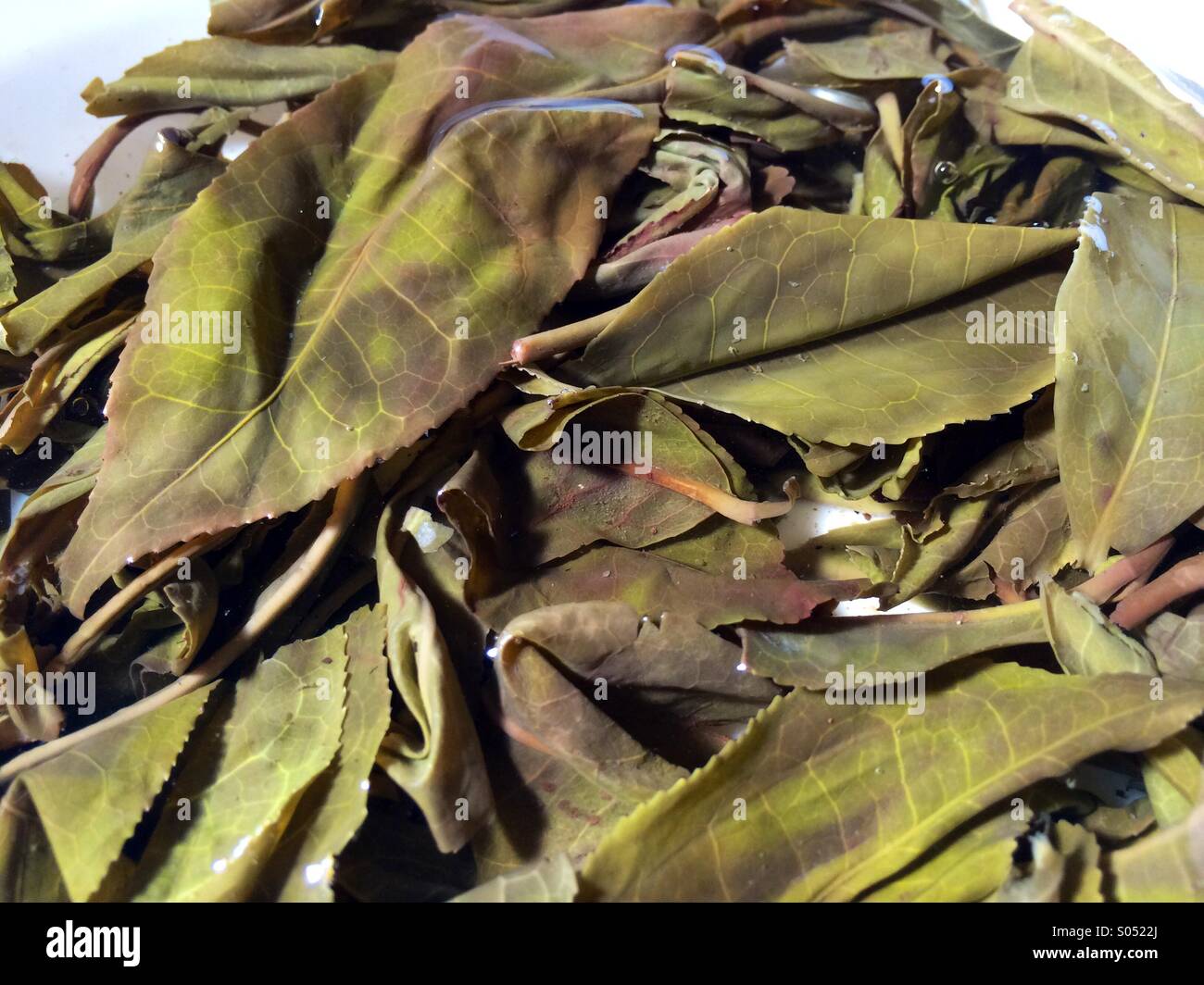 Southern shan state hi-res stock photography and images - Alamy