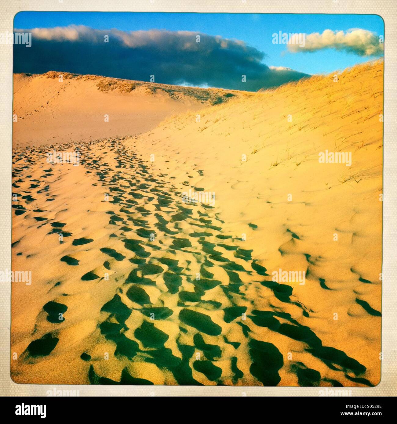 Cape Cod Sand Dunes Stock Photos & Cape Cod Sand Dunes Stock Images - Alamy