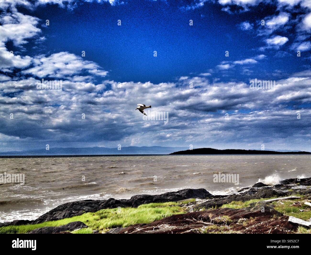 River shore hi-res stock photography and images - Alamy
