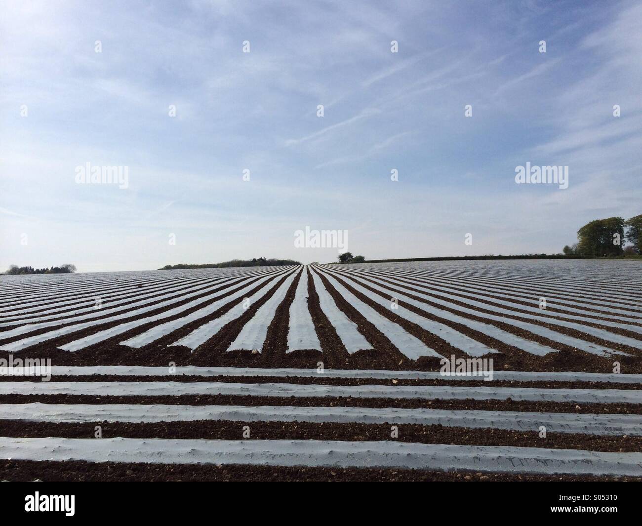 Row rows line lines hi-res stock photography and images - Alamy