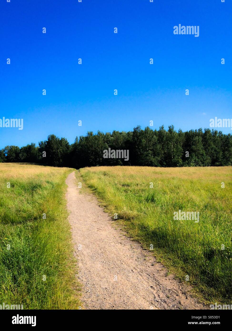 Dusty pathway hi-res stock photography and images - Alamy