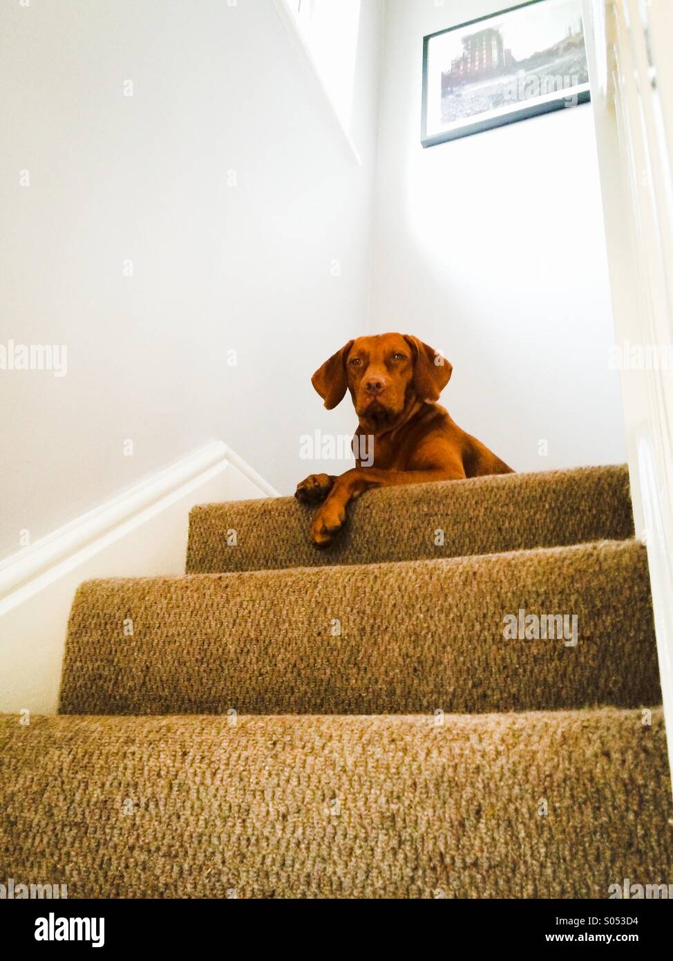 Waiting patient hi-res stock photography and images - Alamy