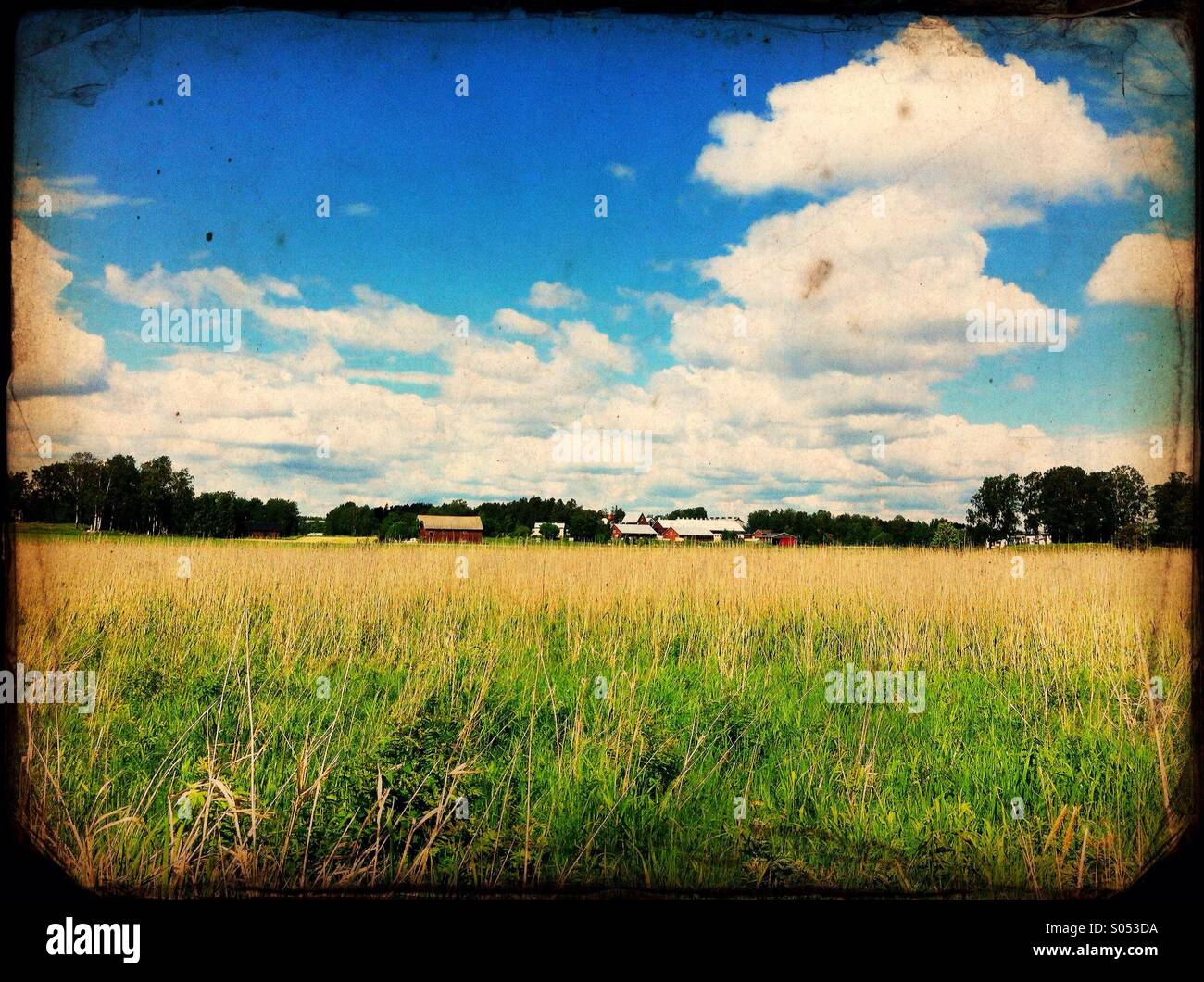 Nostalgia of blue skies over fields Stock Photo - Alamy