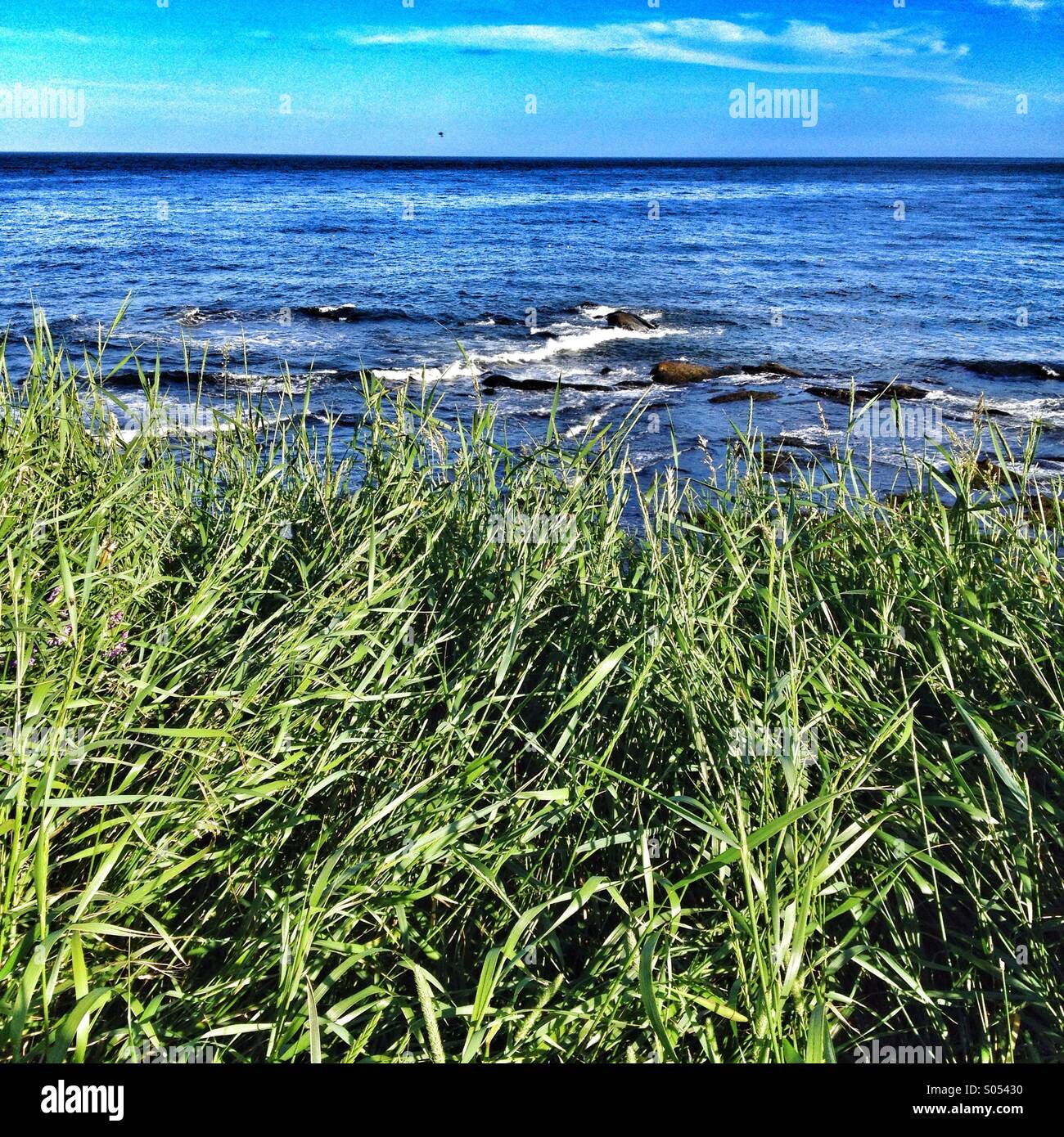 Waterside grass hi-res stock photography and images - Alamy