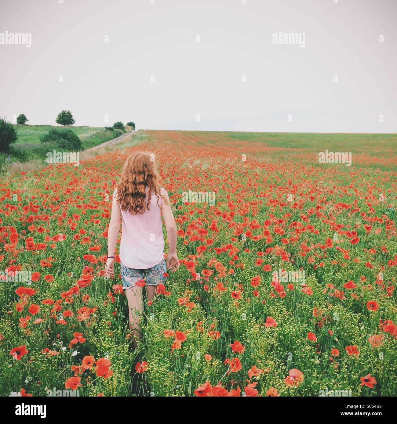 Red hair girl rear hi-res stock photography and images - Alamy