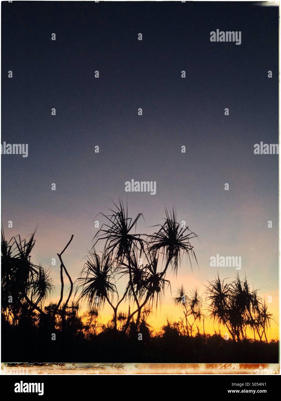 Bush sunrise hi-res stock photography and images - Alamy
