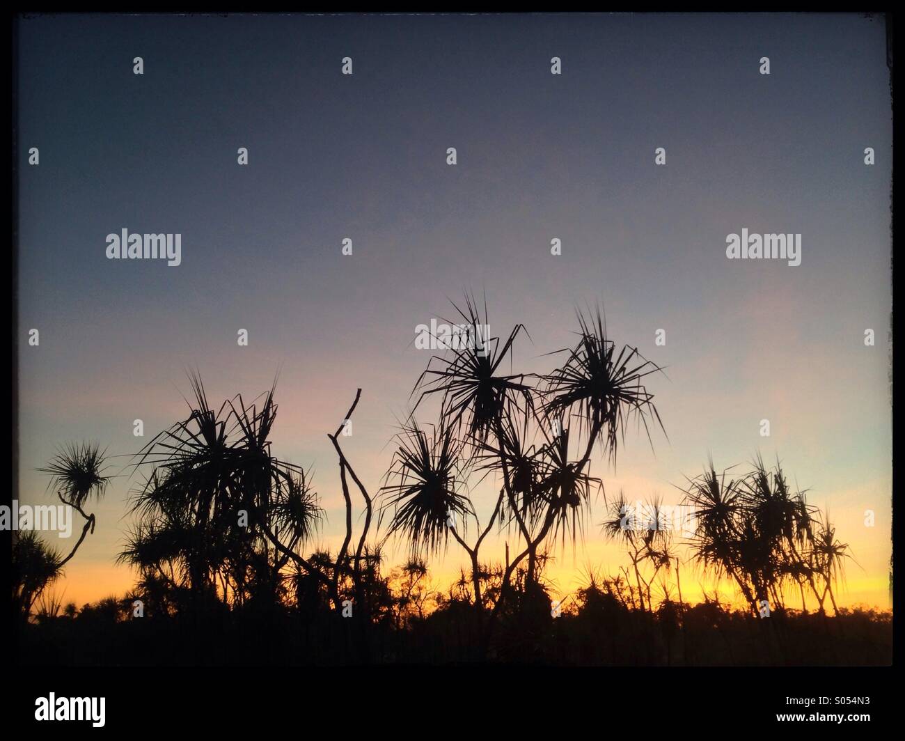 Bush sunrise hi-res stock photography and images - Alamy