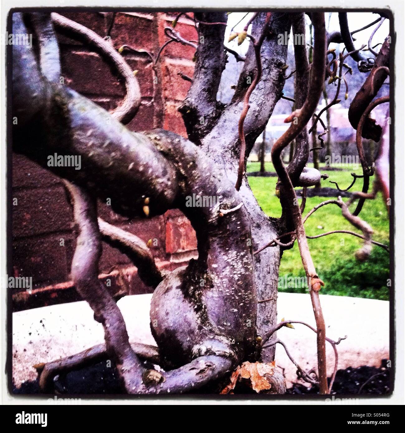 Strange color hi-res stock photography and images - Alamy