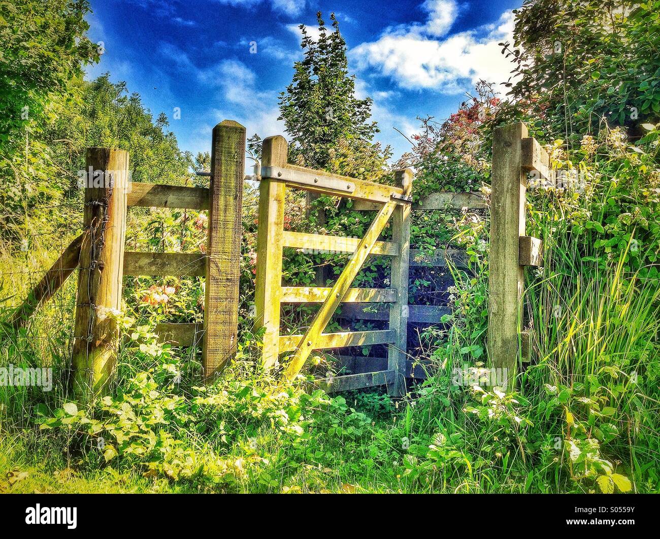 Public footpath and gate Stock Photo - Alamy