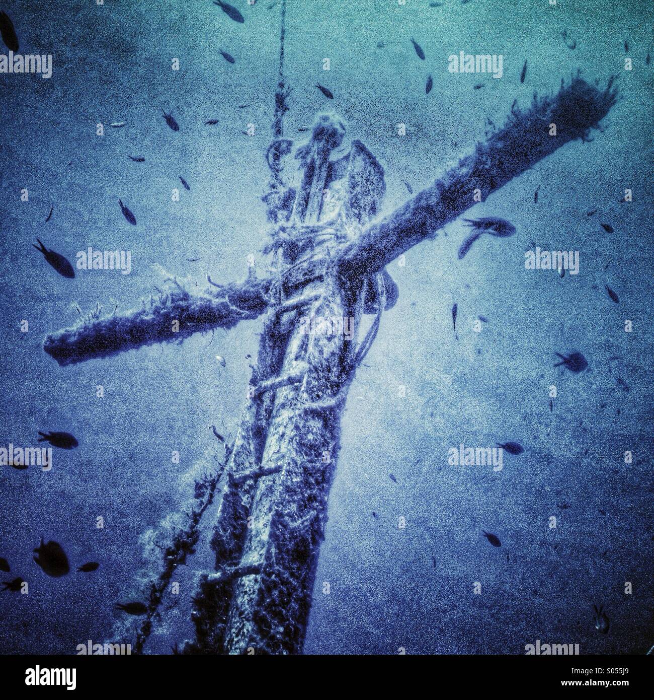 30 Metres High Resolution Stock Photography and Images - Alamy