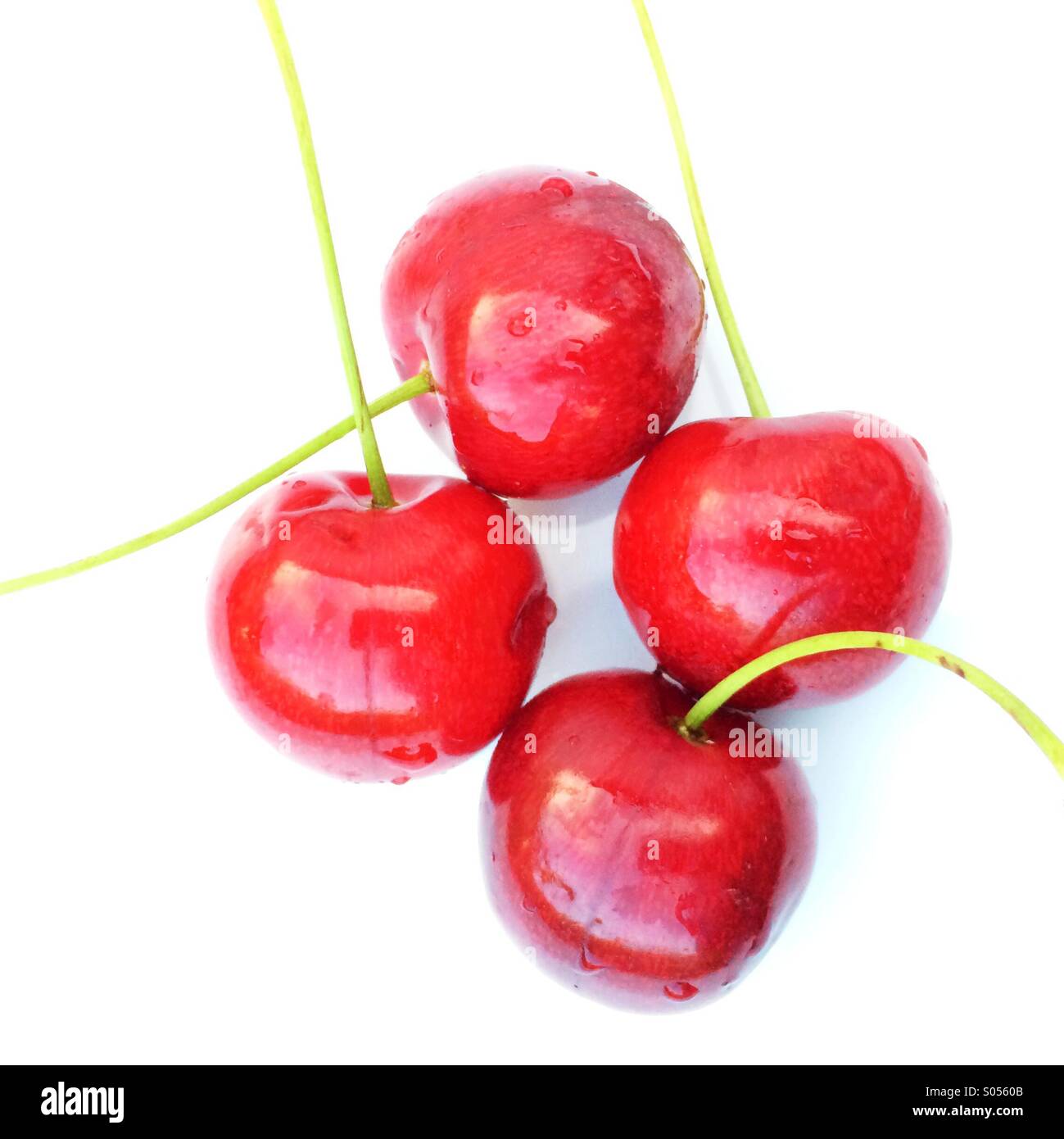 Four cherries isolated on a white background Stock Photo - Alamy