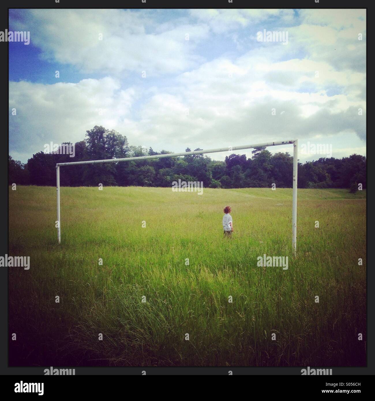 Overgrown field hi-res stock photography and images - Alamy