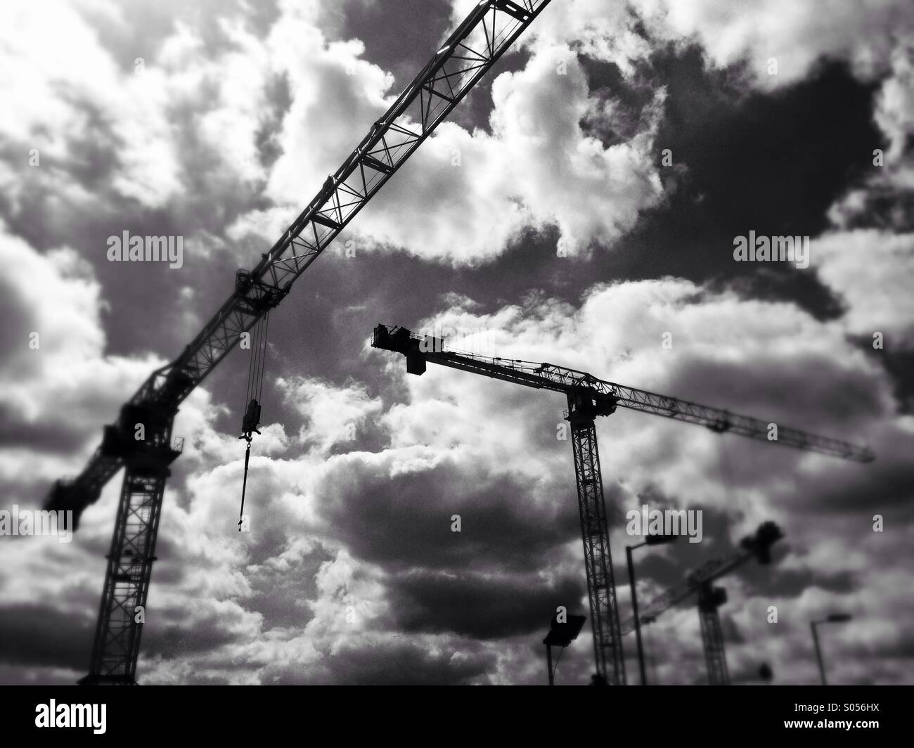 3 cranes hi-res stock photography and images - Alamy