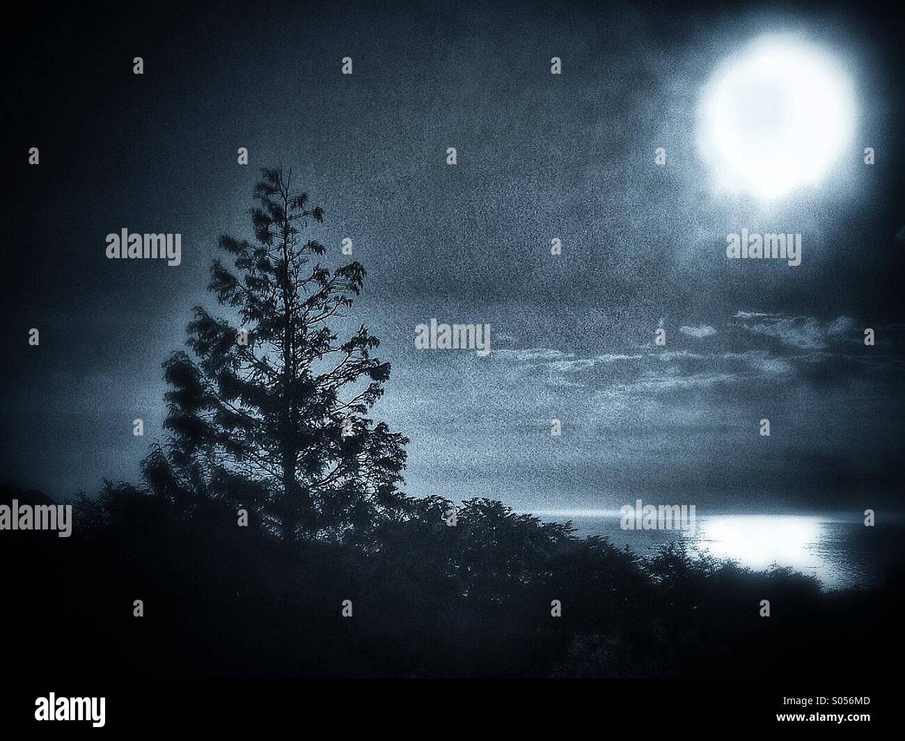 Low sun on the water Stock Photo - Alamy