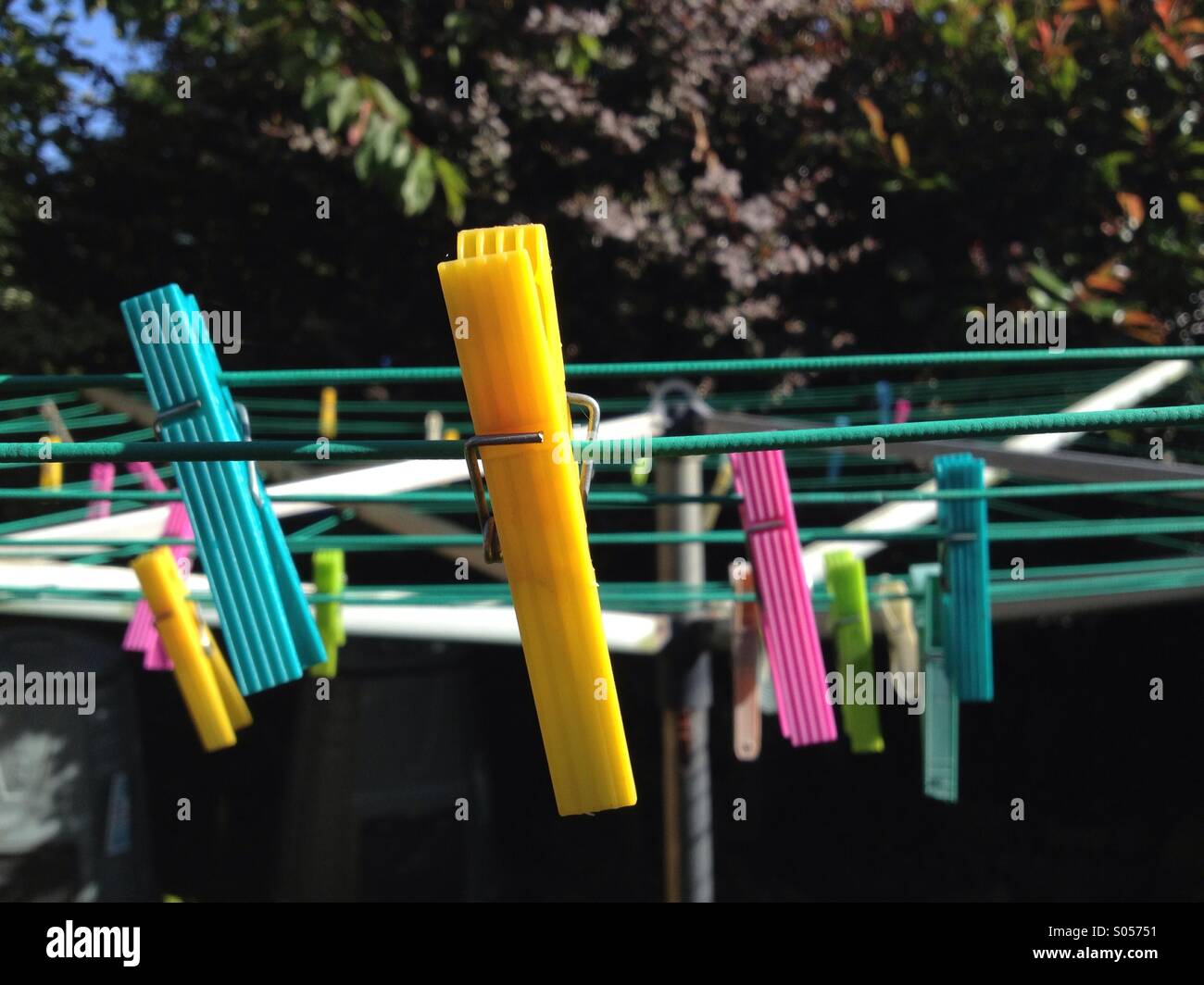 Colourful plastic clothes pegs on a washing line Stock Photo - Alamy