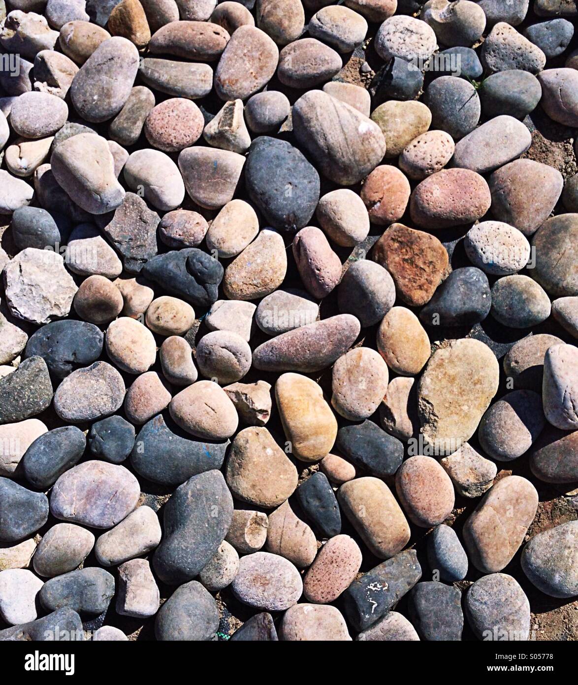 Pebbles on the beach Stock Photo - Alamy
