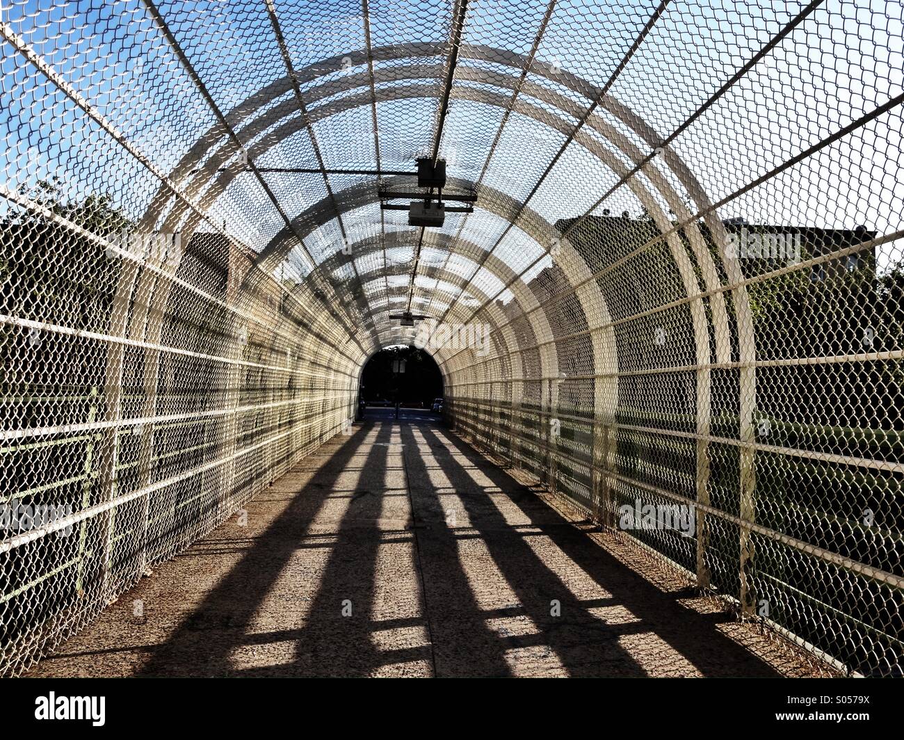 Pedestrian bridge over the Prospect expressway by 8th ave in Windsor ...